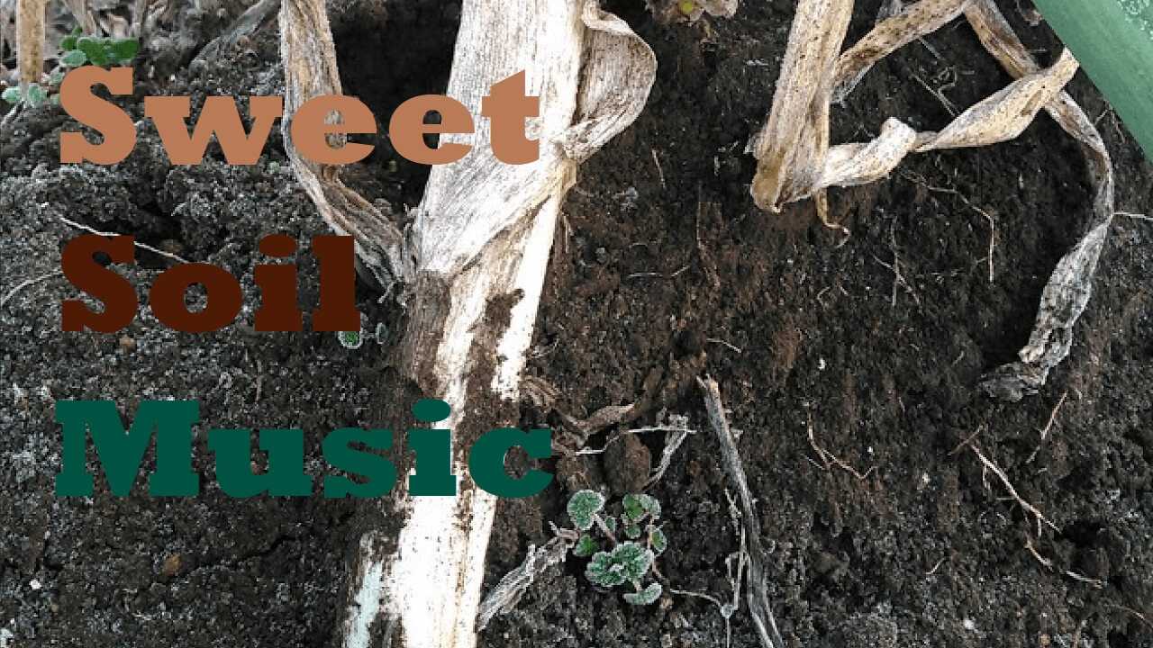 Sweet Soil Music | スウィート・ソイル・ミュージック